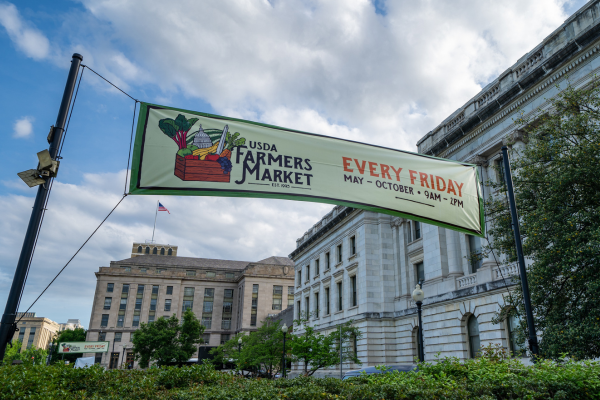 Signs and Banners Printing Tips | 48HourPrint